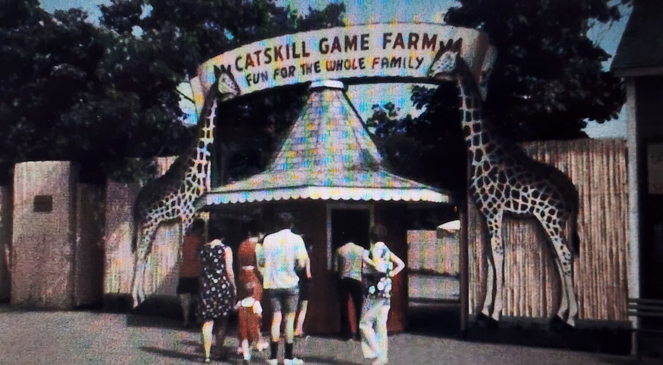 Tribeca Festival Documentary Review: 'American Zoo' – the Rise and Fall ...